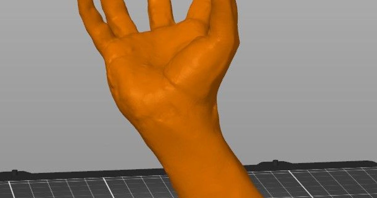 3d Scanned Hand by cmazz | Download free STL model | Printables.com