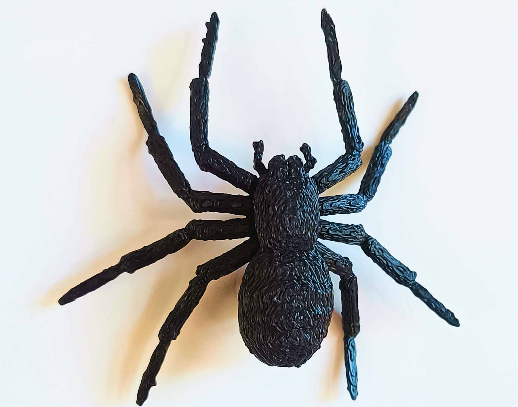 Frighteningly Realistic Looking Spider Knob by Wim V | Download free ...