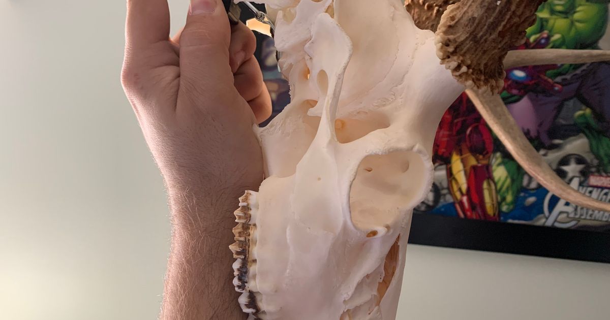 Hanger Mount by Donnie Pritchard | Download free STL model | Printables.com