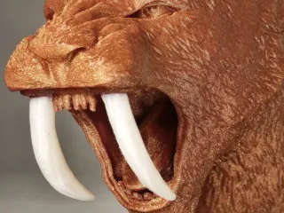 Sabertooth by Saddex3D | Download free STL model | Printables.com