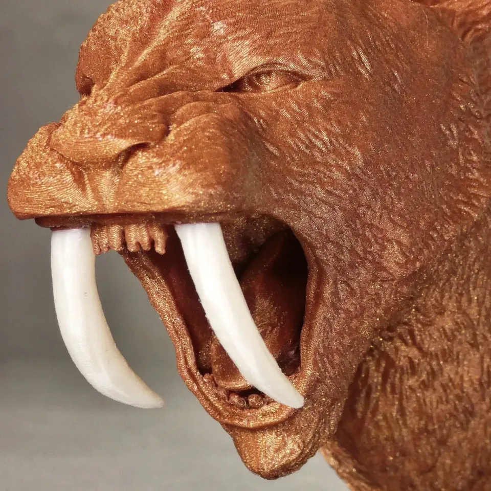 Sabertooth by Saddex3D | Download free STL model | Printables.com