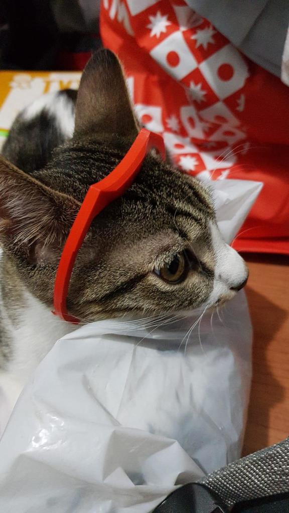Catra Mask for IRL Cats by Barry_Bolin | Download free STL model ...