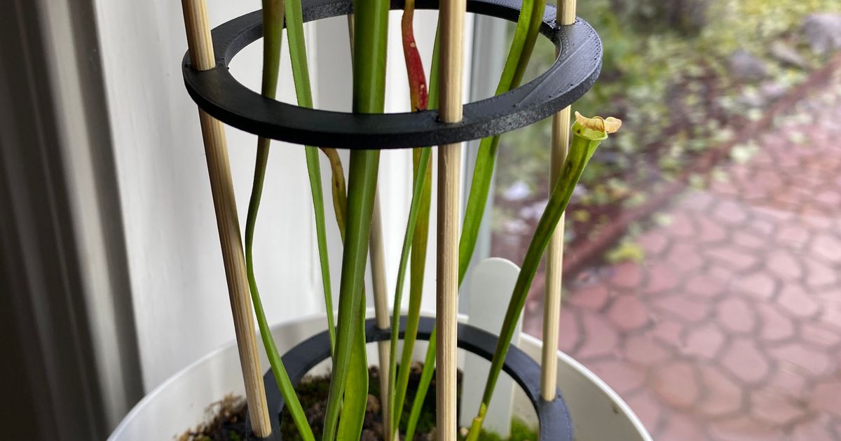 Plant Support Rings by Isaac Howard | Download free STL model ...