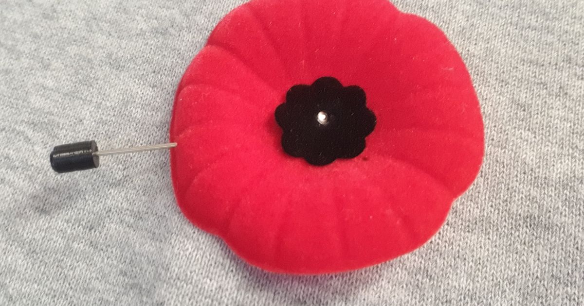 Poppy Pin Protector by AlistairLeong | Download free STL model ...