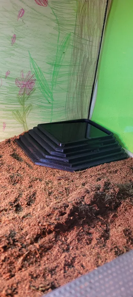 TURTLE POOL by Petr Závorka | Download free STL model | Printables.com