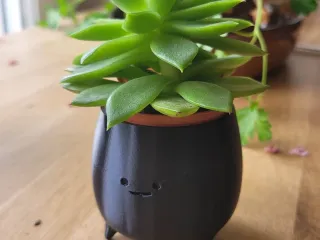 smiling pot by luc | Download free STL model | Printables.com