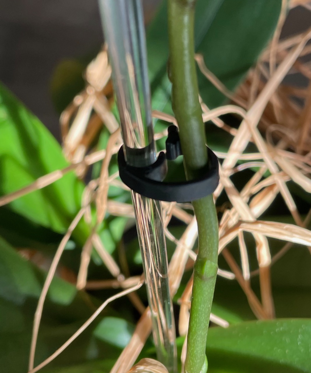 Flower Clip by Henk | Download free STL model | Printables.com