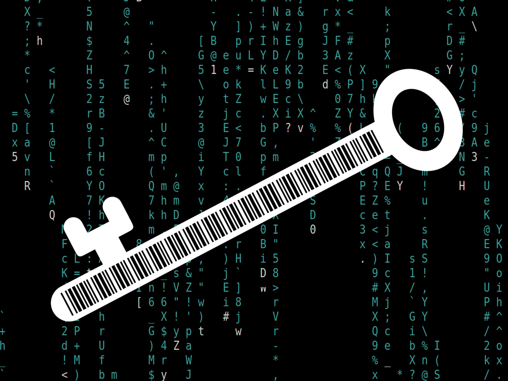 Physical Steam key by FuzzyRaptor | Download free STL model ...