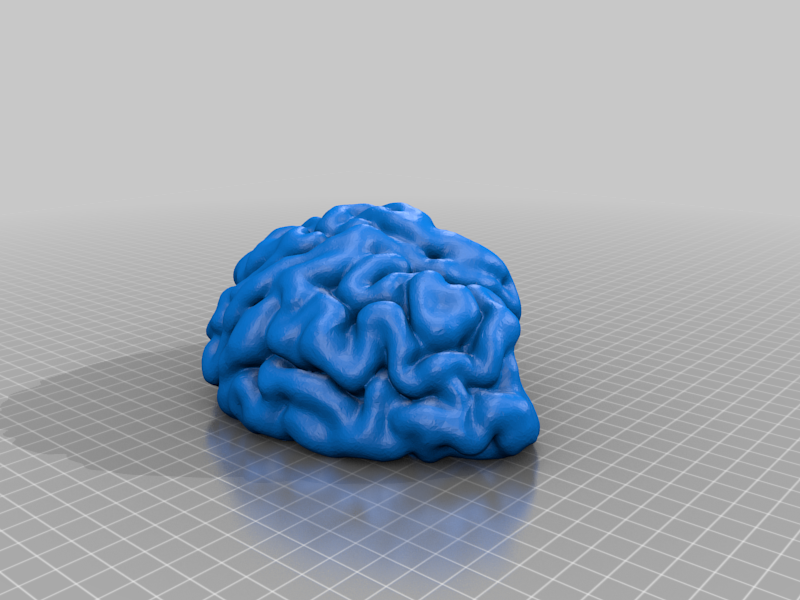 Human Brain Magic 8 Ball by MattInDetroit | Download free STL model ...