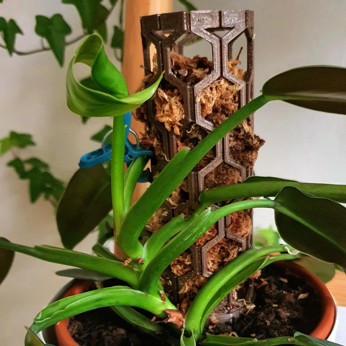 Stackable Moss Pole - Climbing Plants Support by phi.gl | Download free ...