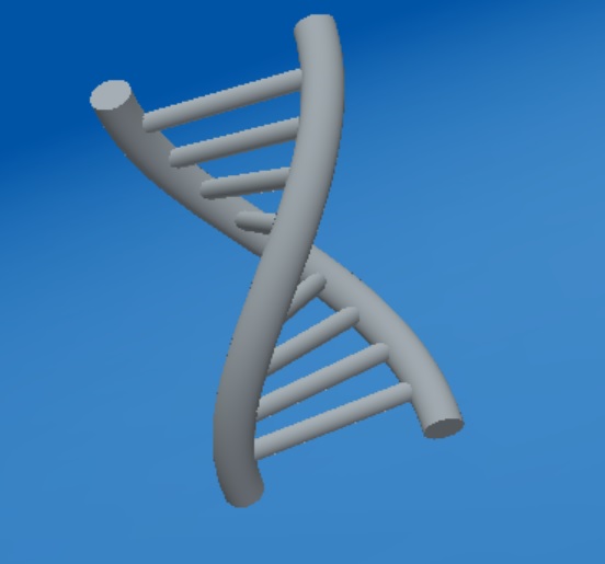 DNA 3d Model by Appokropolus | Download free STL model | Printables.com