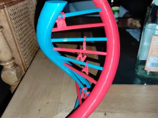 DNA 3d Model by Appokropolus | Download free STL model | Printables.com