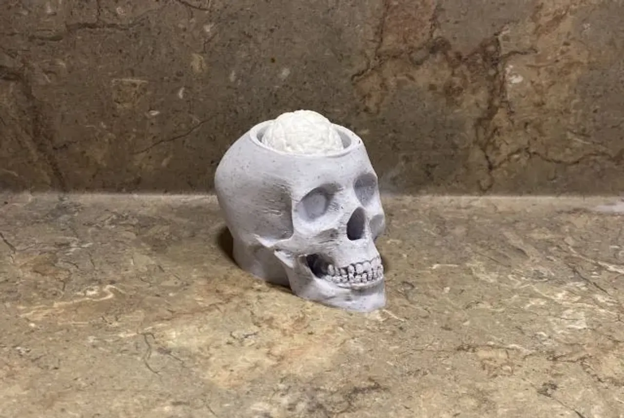 Action Skull with Bobblehead Brain by rreibel | Download free STL model ...