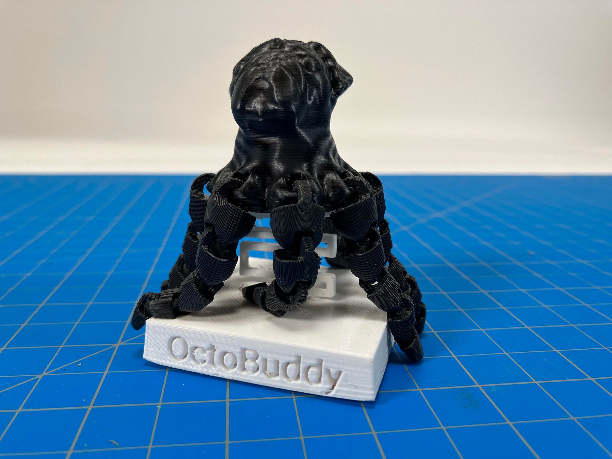 OctoBuddy Bubblehead by Artefact3D | Download free STL model ...