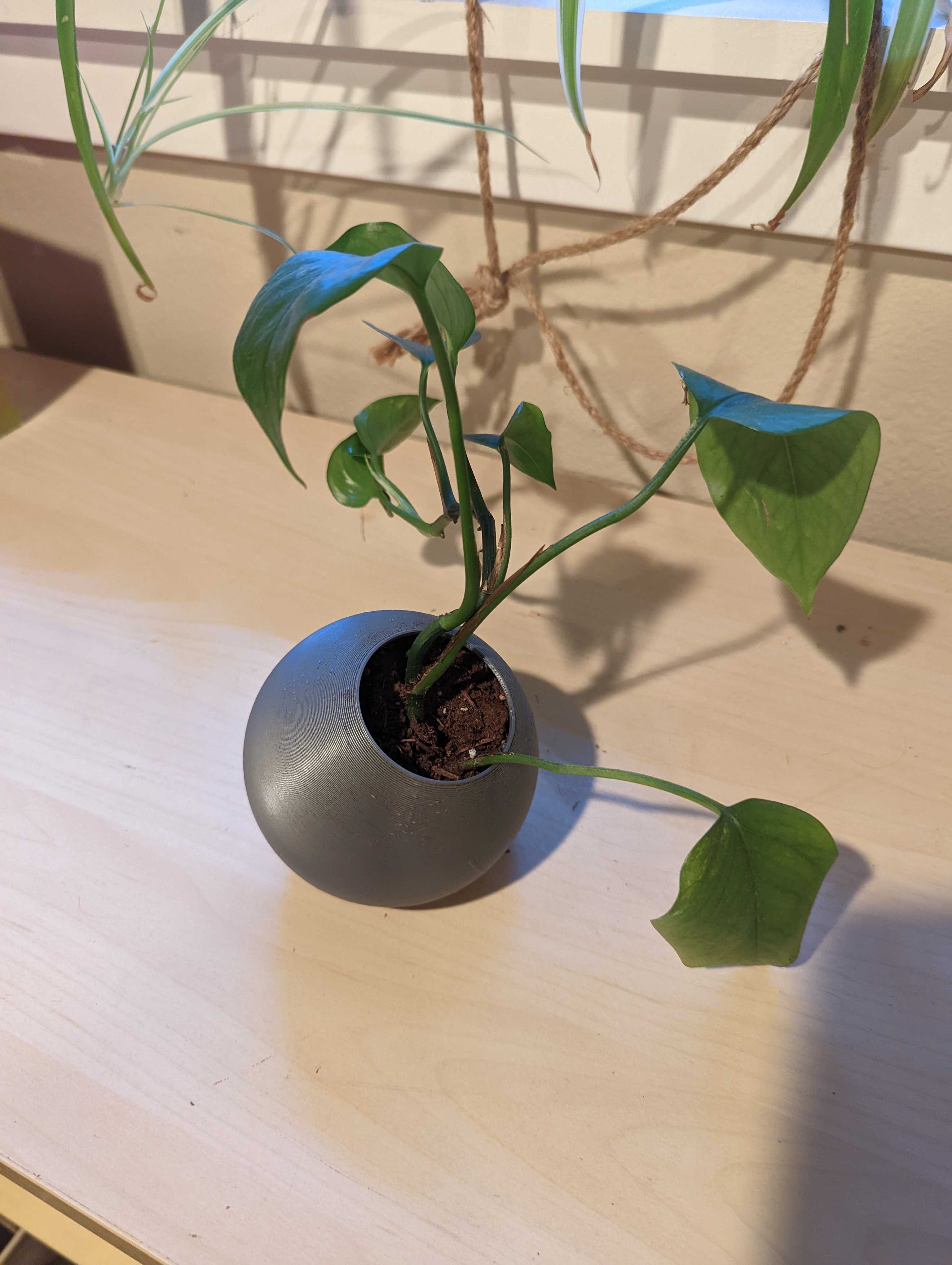 Sphere Planter by Evan Schuster | Download free STL model | Printables.com