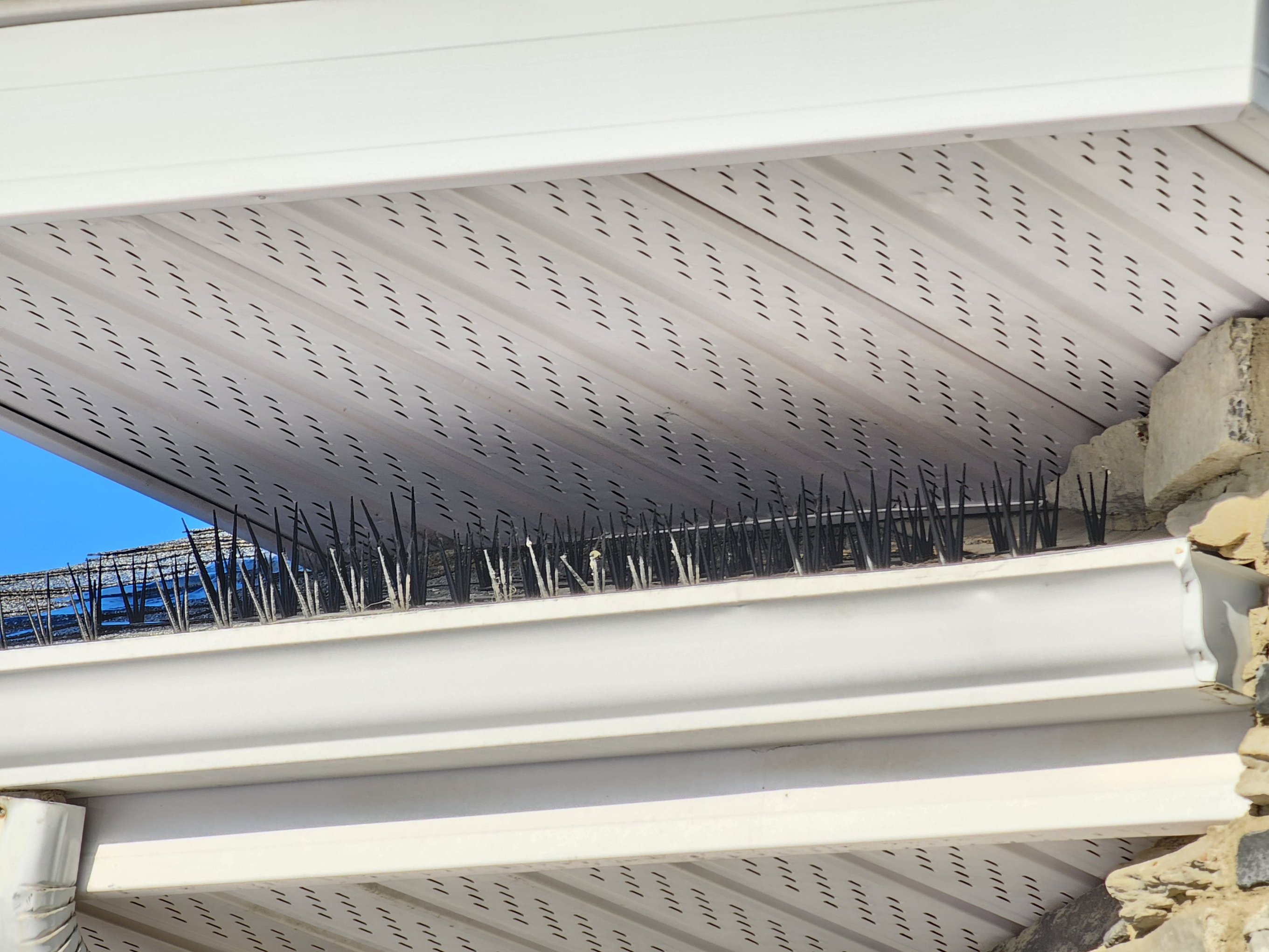 Bird spikes by Joe | Download free STL model | Printables.com