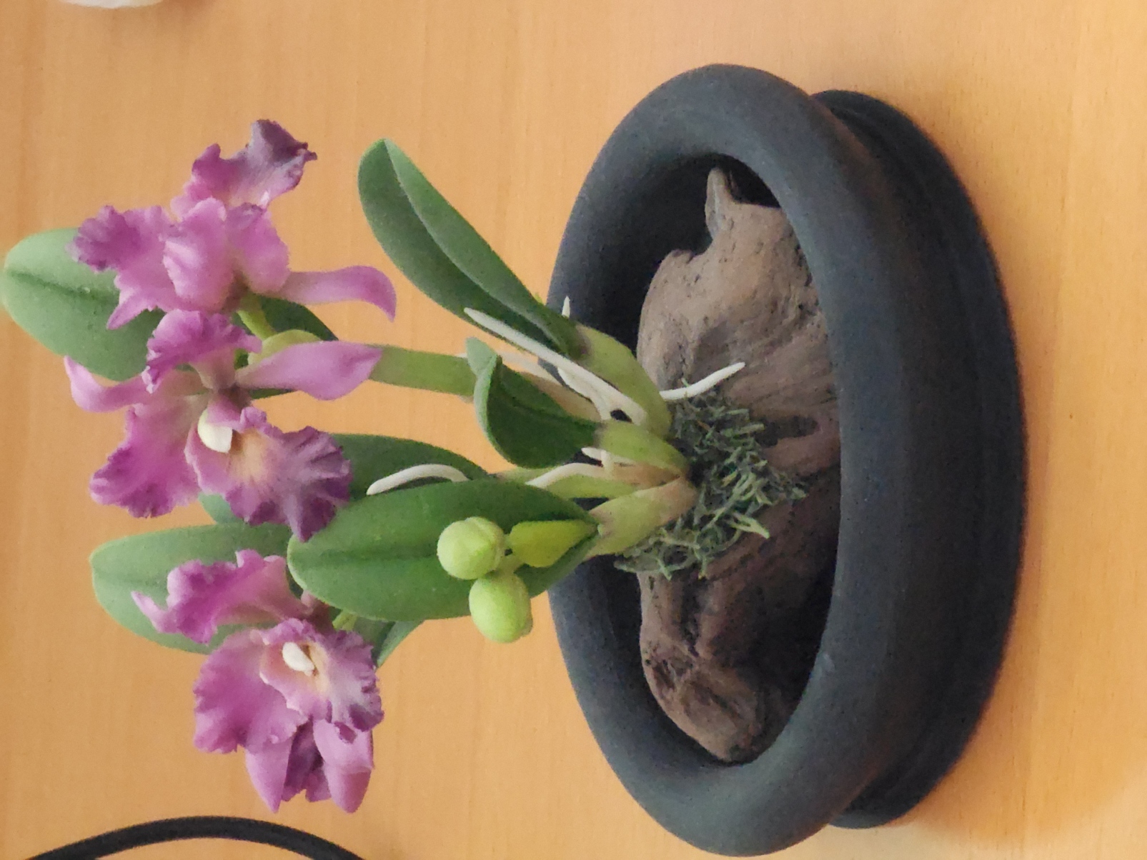 Box for a decorative orchid by Joe | Download free STL model ...