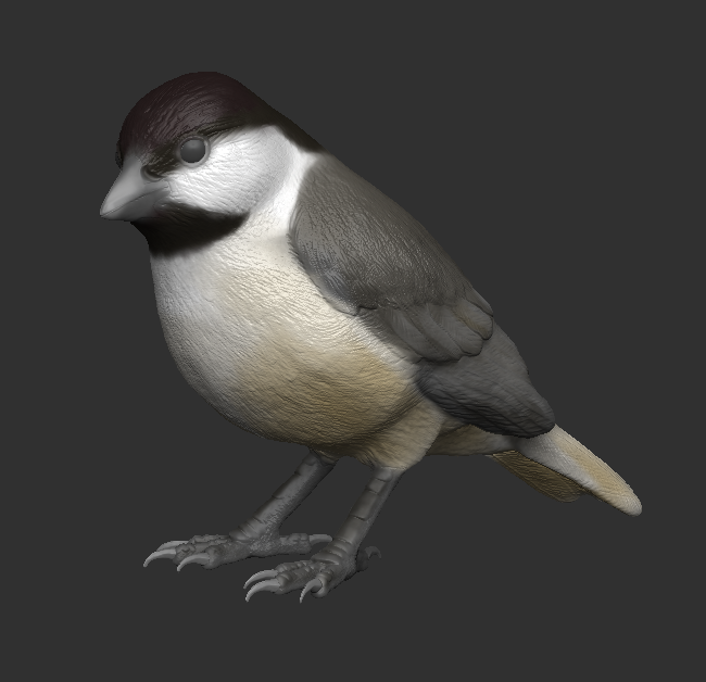 Black Capped Chickadee Model by DragonArtist15 | Download free STL ...