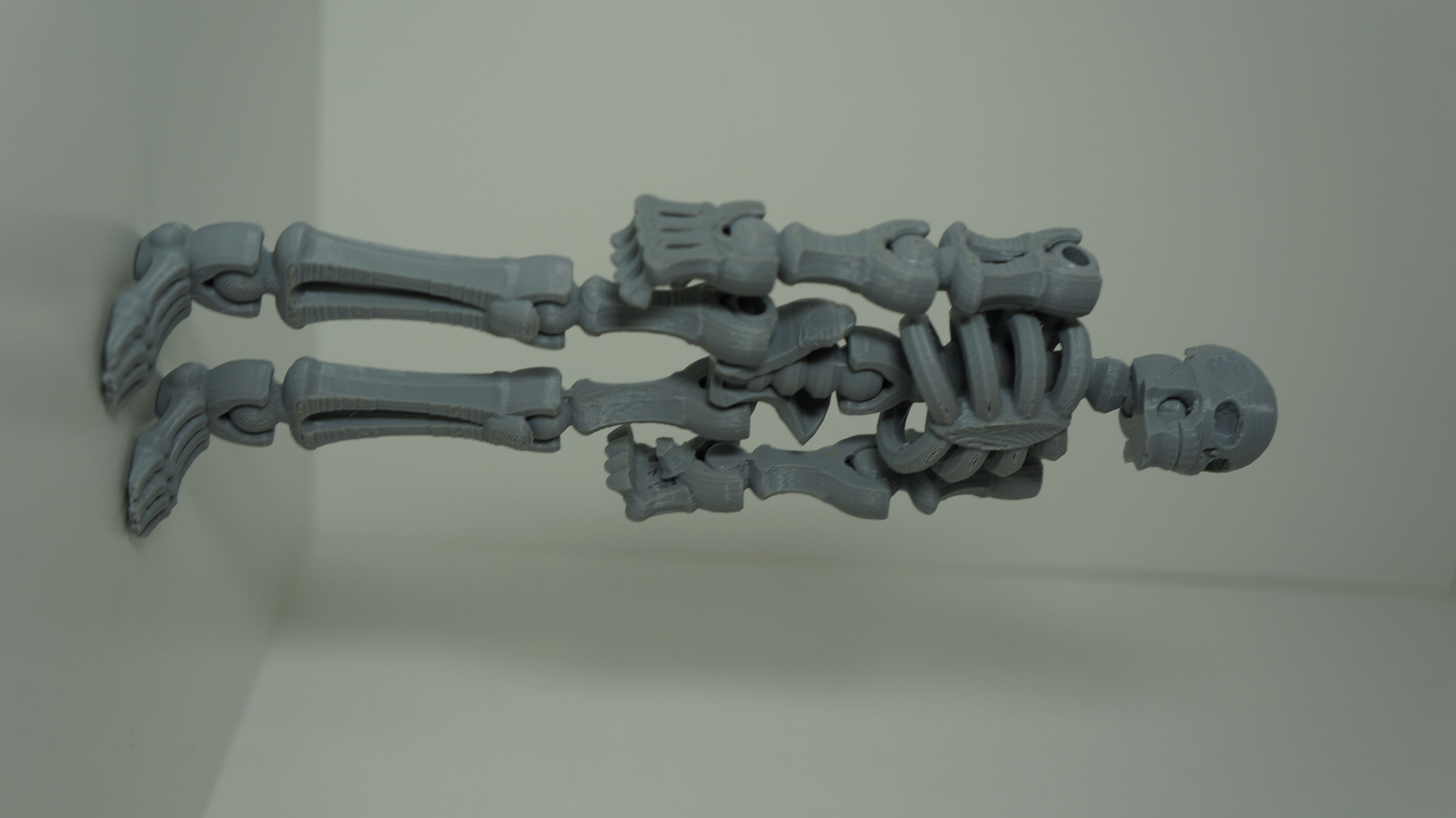 Toy Skeleton by Nebula Printing | Download free STL model | Printables.com