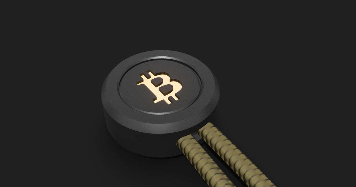 Bitcoin paracord zipper pull by Printonaut | Download free STL model ...