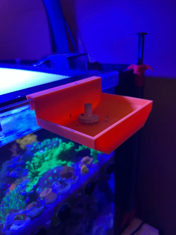 Aquarium Tray by Crysalis | Download free STL model | Printables.com