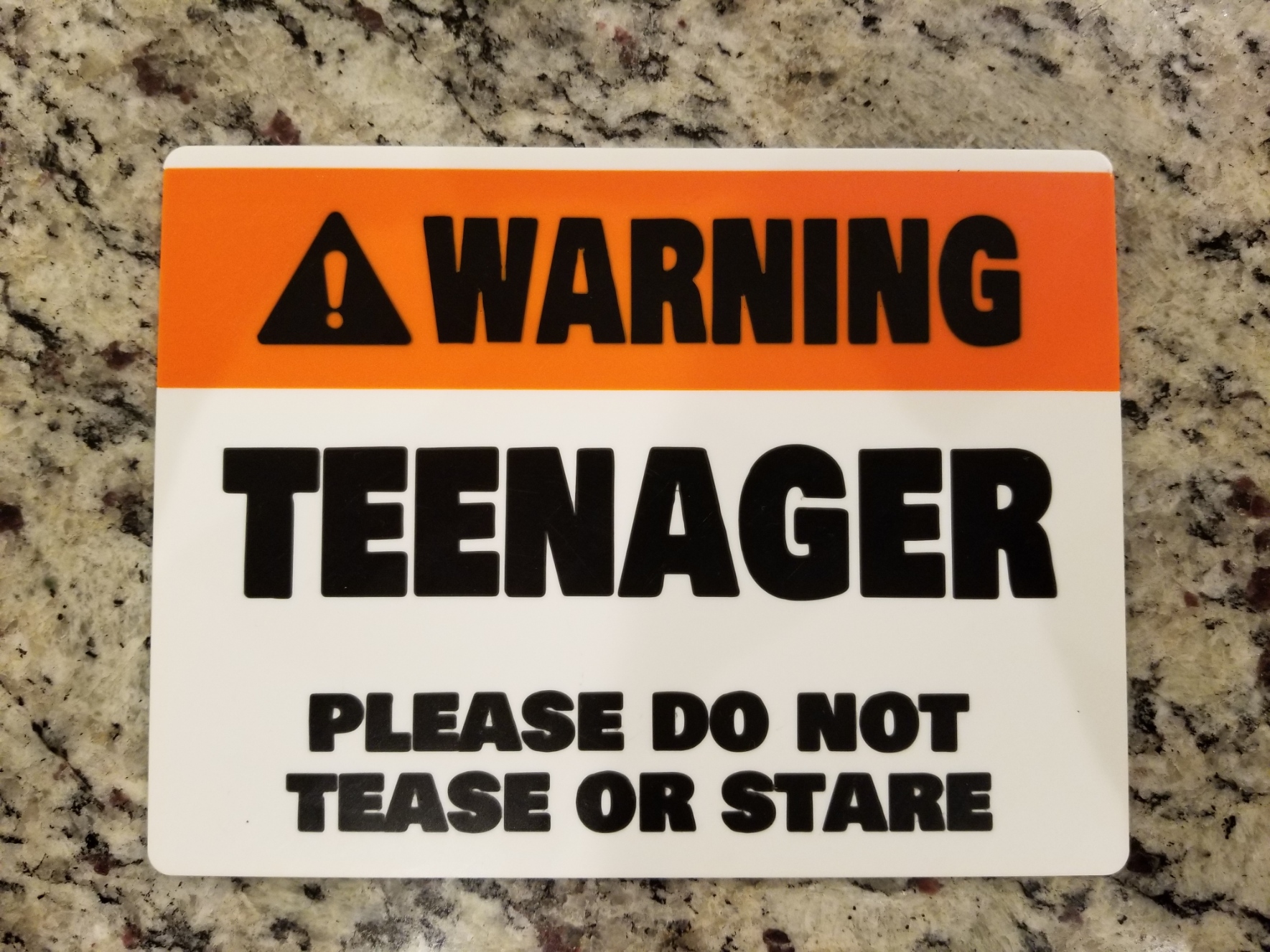 Teenager Warning sign by Jon | Download free STL model | Printables.com