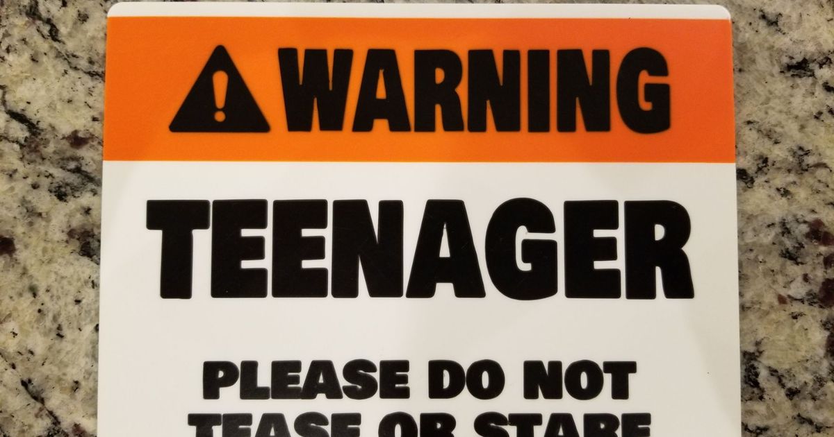 Teenager Warning sign by Jon | Download free STL model | Printables.com