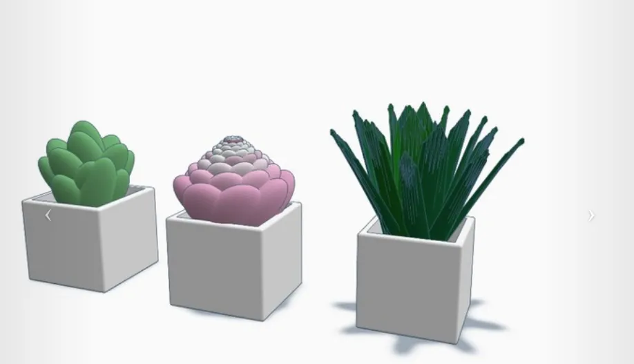 Succulents by Maria-Clara Casanova | Download free STL model ...