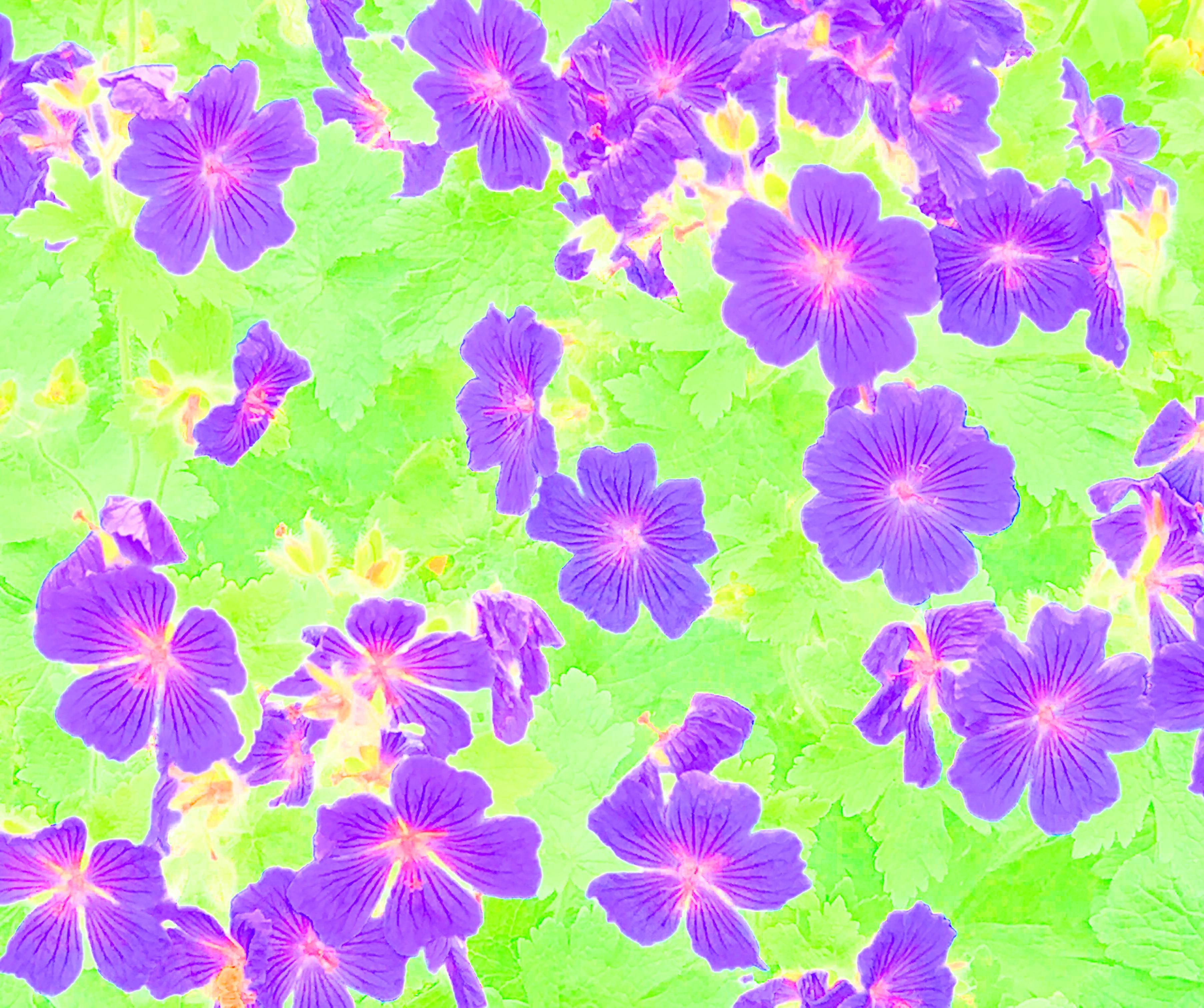 flower litho by MattGerman | Download free STL model | Printables.com