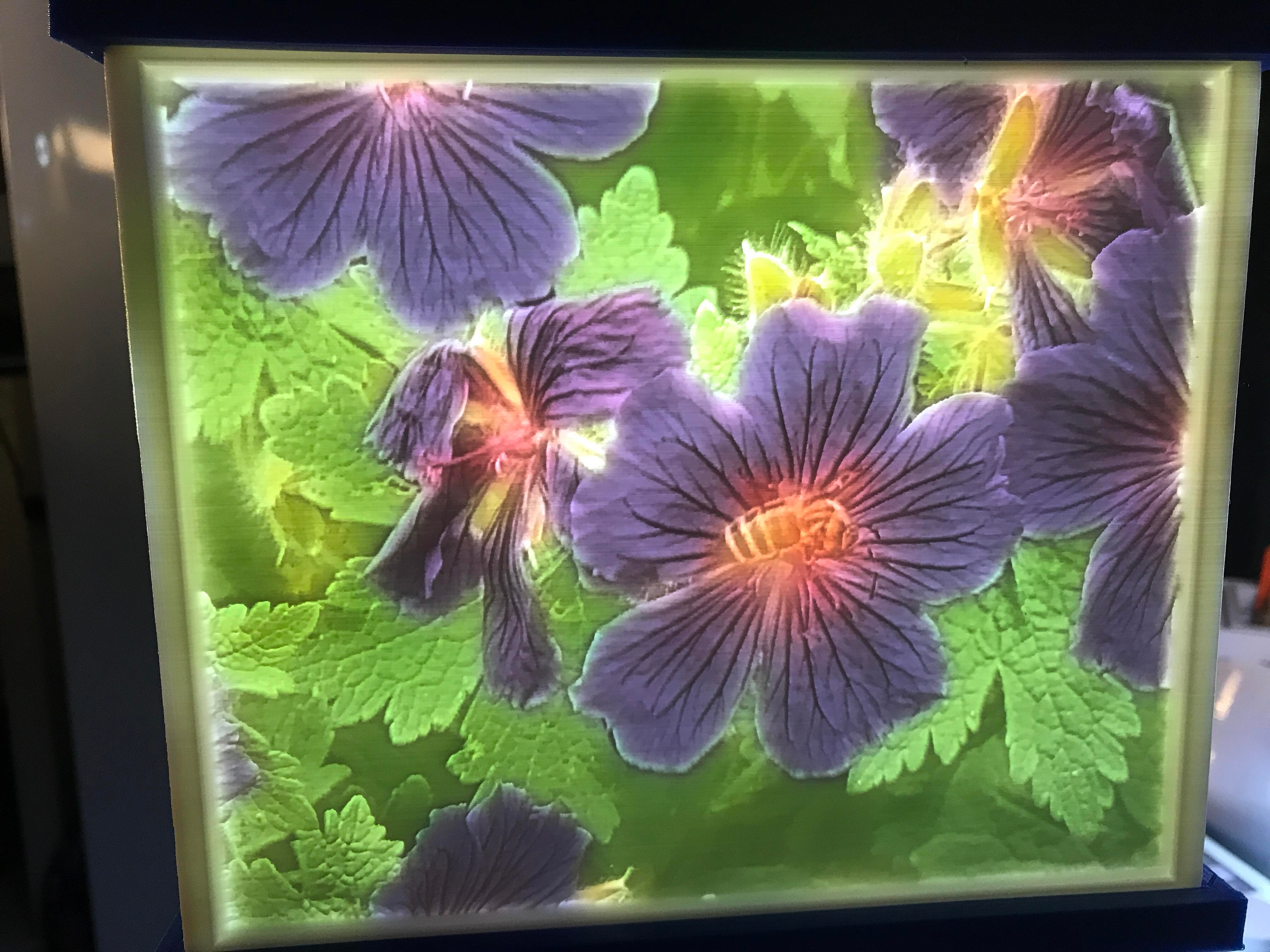 flower litho by MattGerman | Download free STL model | Printables.com