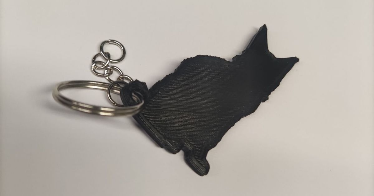 Maine coon keychain by 3Dave | Download free STL model | Printables.com