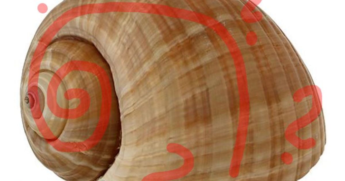 shell depth gauge / měřák hloubky ulity by Pavel | Download free STL ...