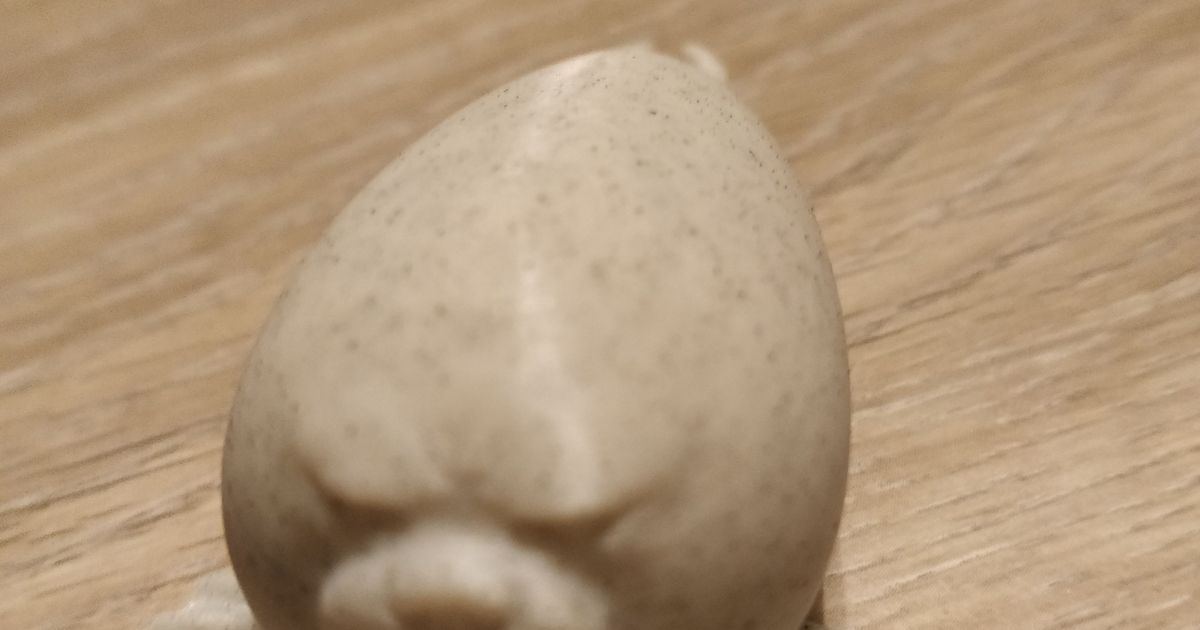 Grumpy seal by Dilem | Download free STL model | Printables.com