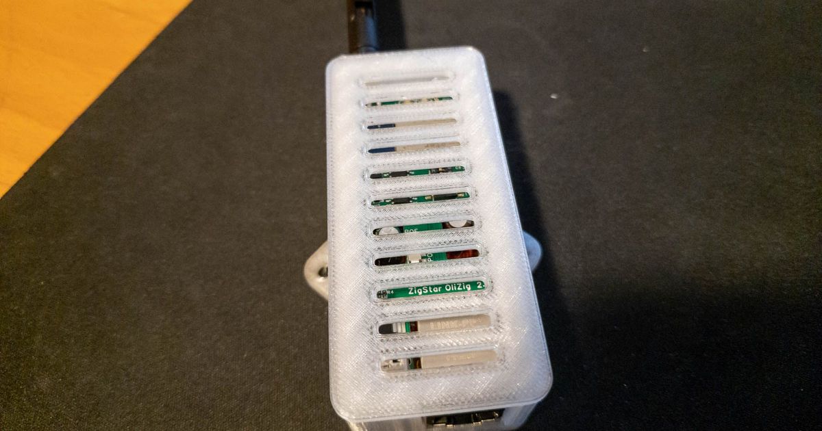 Olizig case by mch | Download free STL model | Printables.com