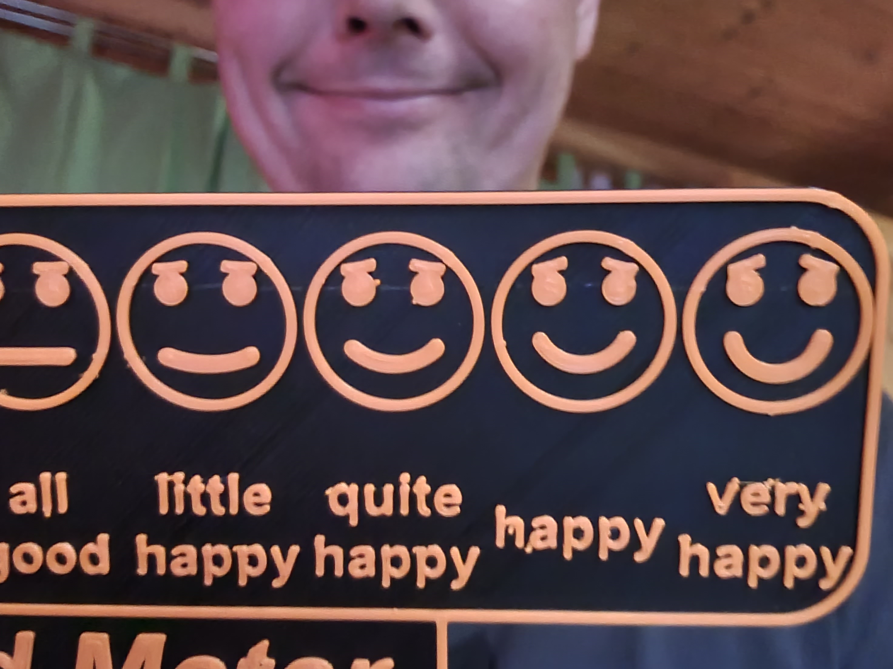 Mood Meter,...maybe not very accurate by Flotschi | Download free STL ...