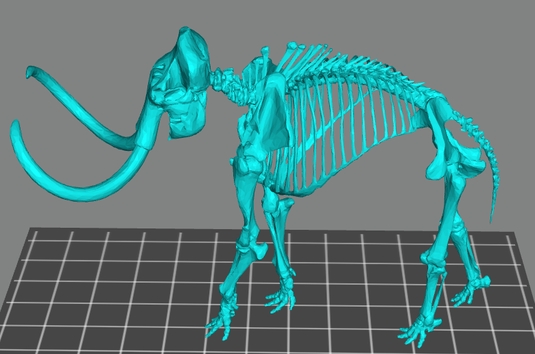 Wolly Mammoth Skeleton Model by Izy3dPrinting | Download free STL model ...