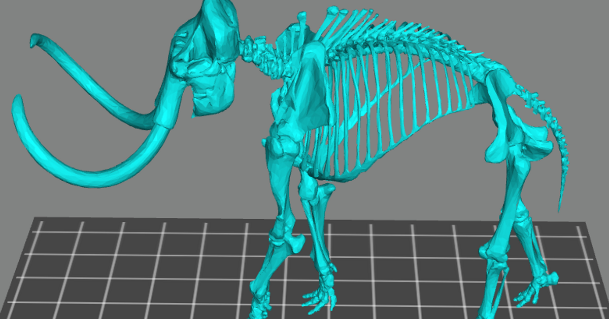 Wolly Mammoth Skeleton Model by Izy3dPrinting | Download free STL model ...
