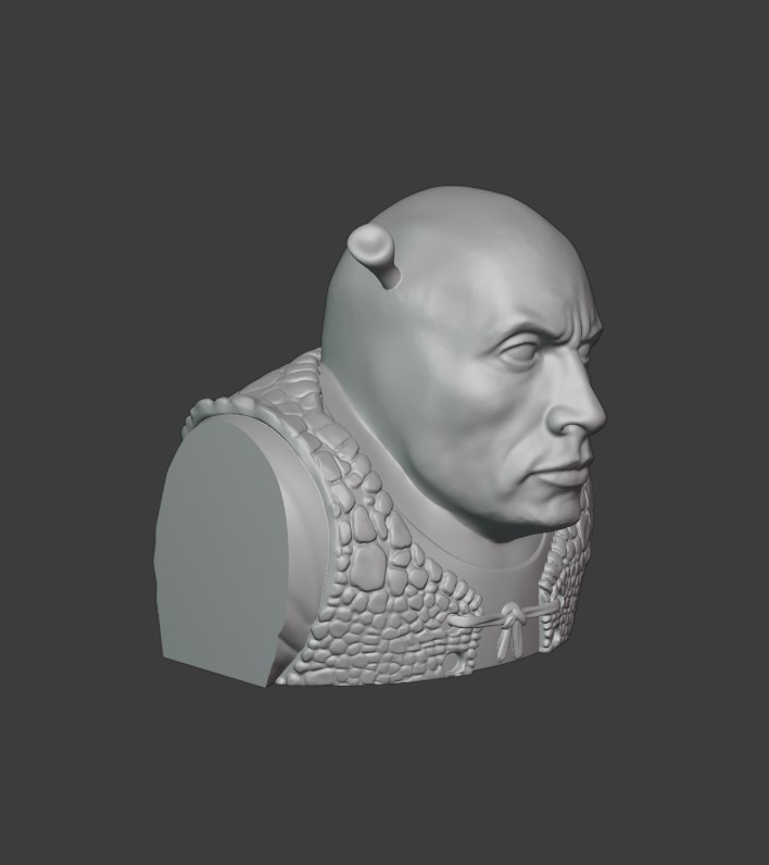 Shrock (Shrek + The Rock Mashup) by ThinAir3D | Download free STL model ...