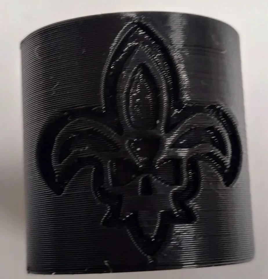 Woggle - Scouting Ireland by Macronot | Download free STL model ...