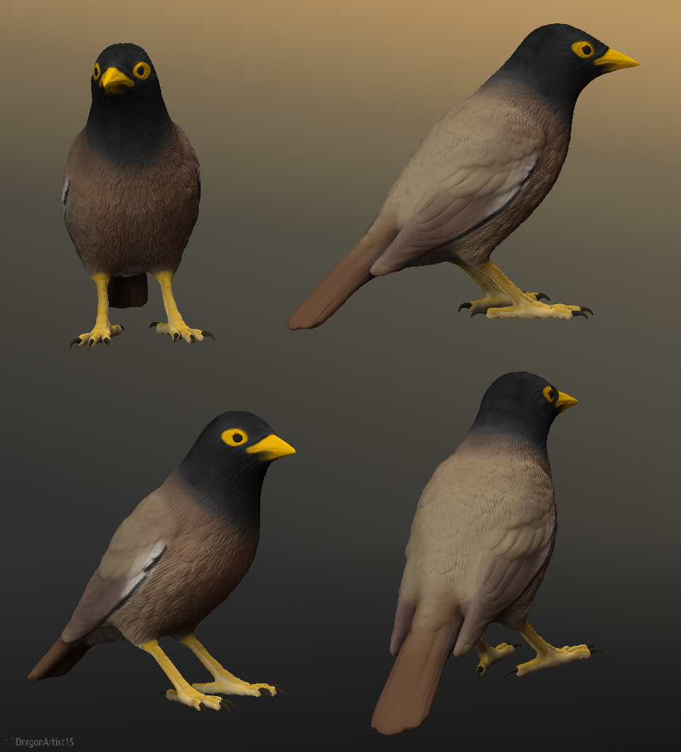 Common Myna Statue by DragonArtist15 | Download free STL model ...