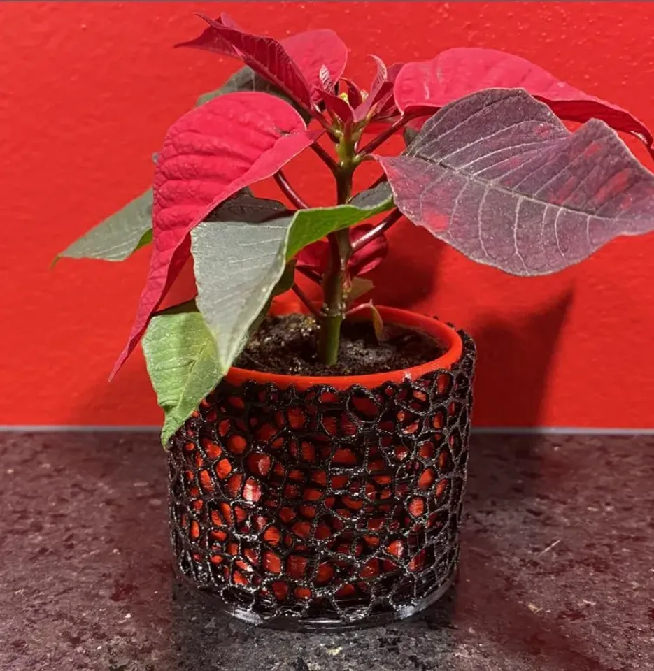 Plant pots - Voronoi - Etoile de Noël by Padu | Download free STL model ...