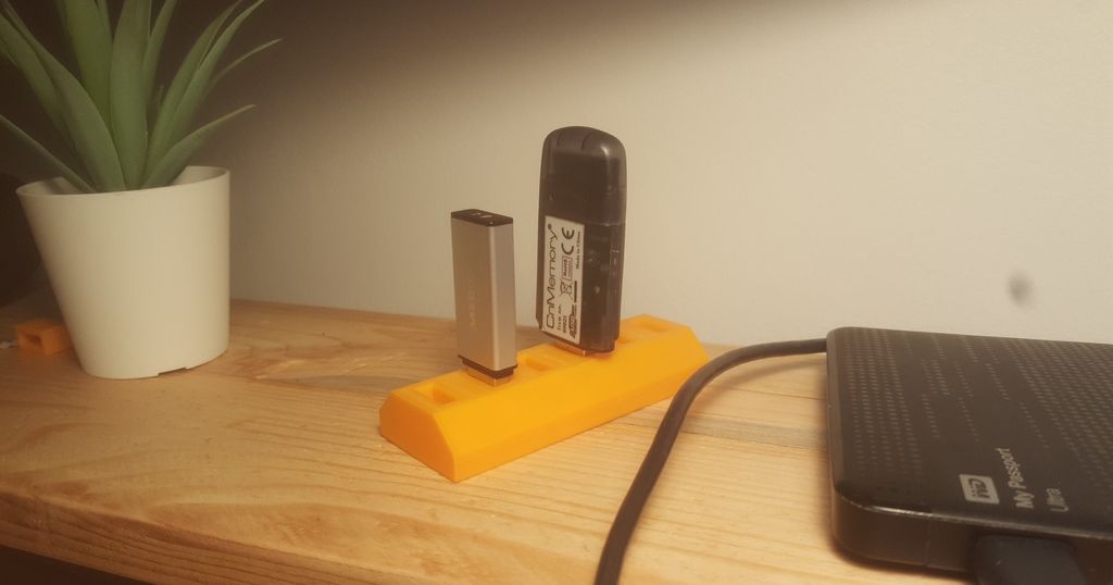 USB Organizer by salatgurke42 | Download free STL model | Printables.com