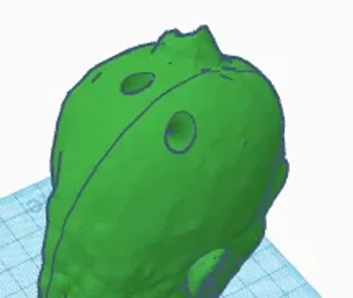 Pickle Rock (AKA Duane "The Pickle" Johnson) by thedude386 | Download ...
