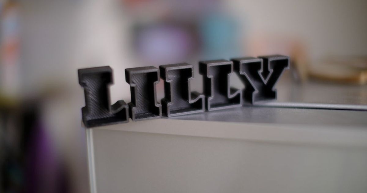 Customizable text storage by Makkuro | Download free STL model ...