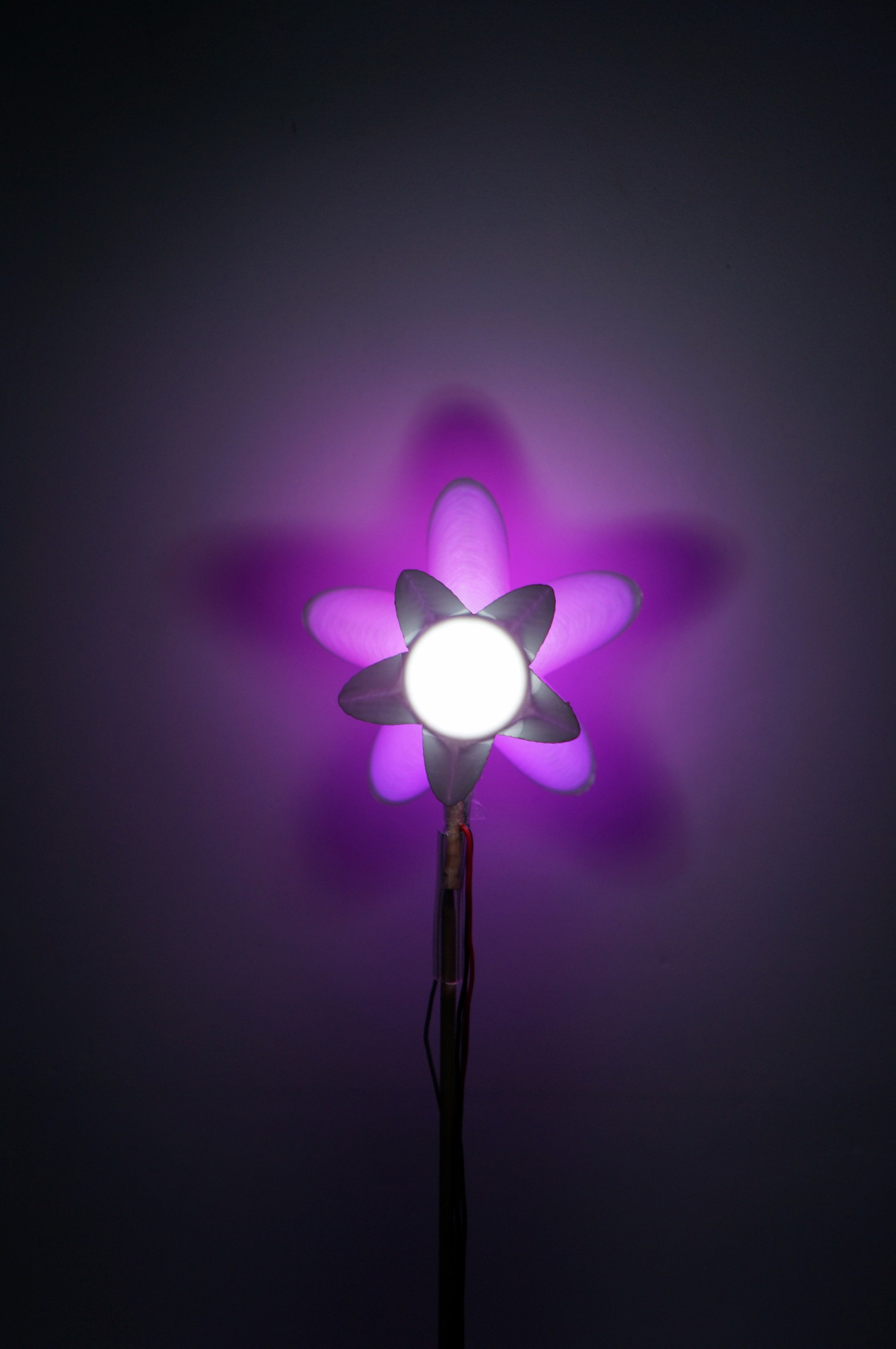LED Flower by Jack | Download free STL model | Printables.com