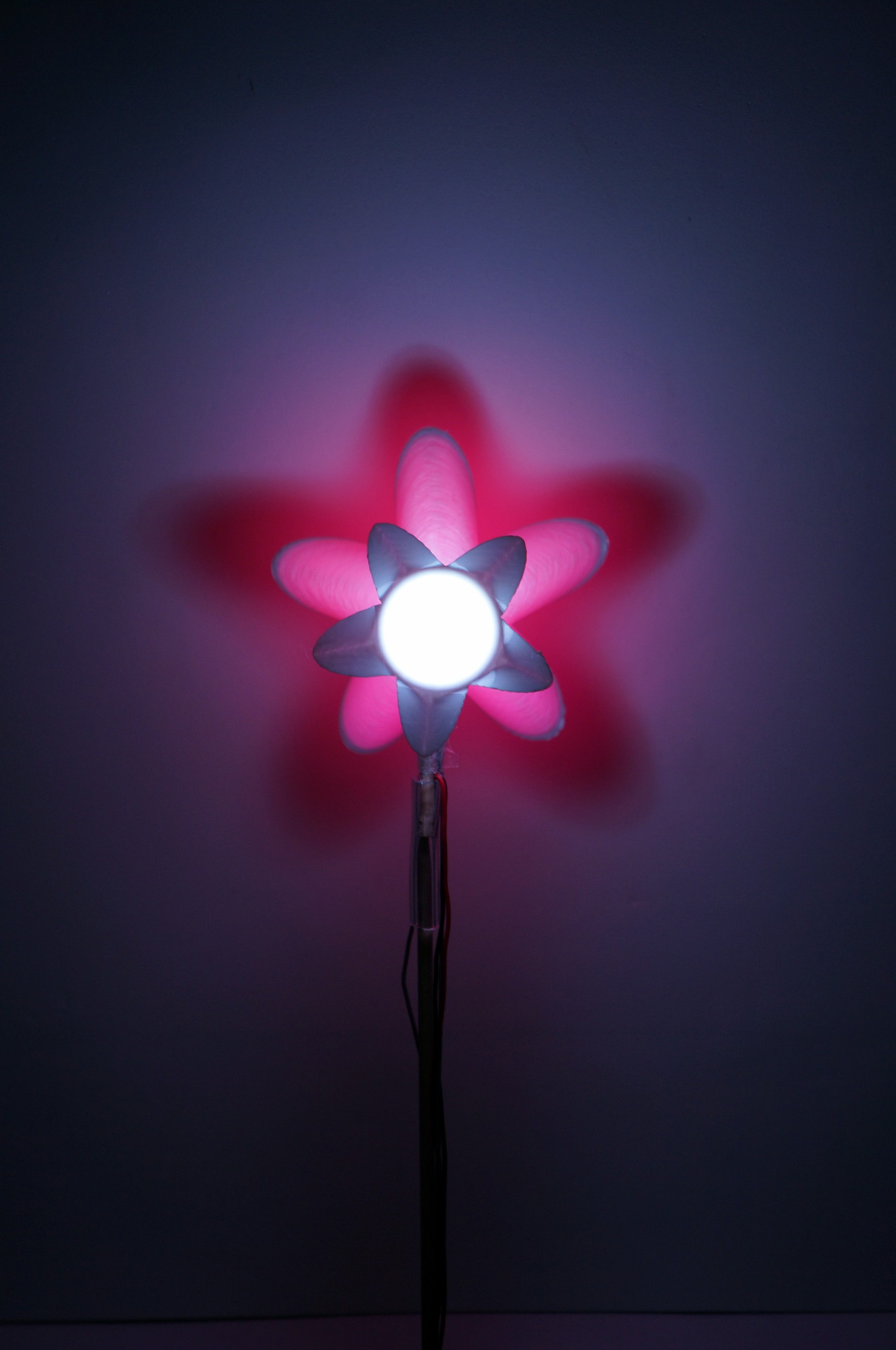 LED Flower by Jack | Download free STL model | Printables.com