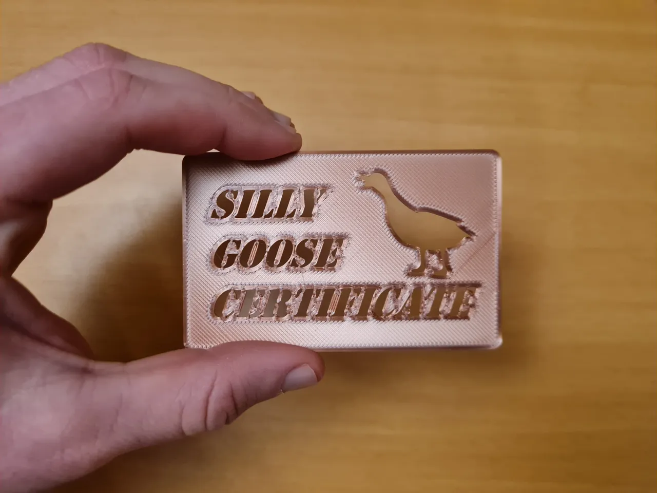 Silly Goose Certificate by plocnik | Download free STL model ...