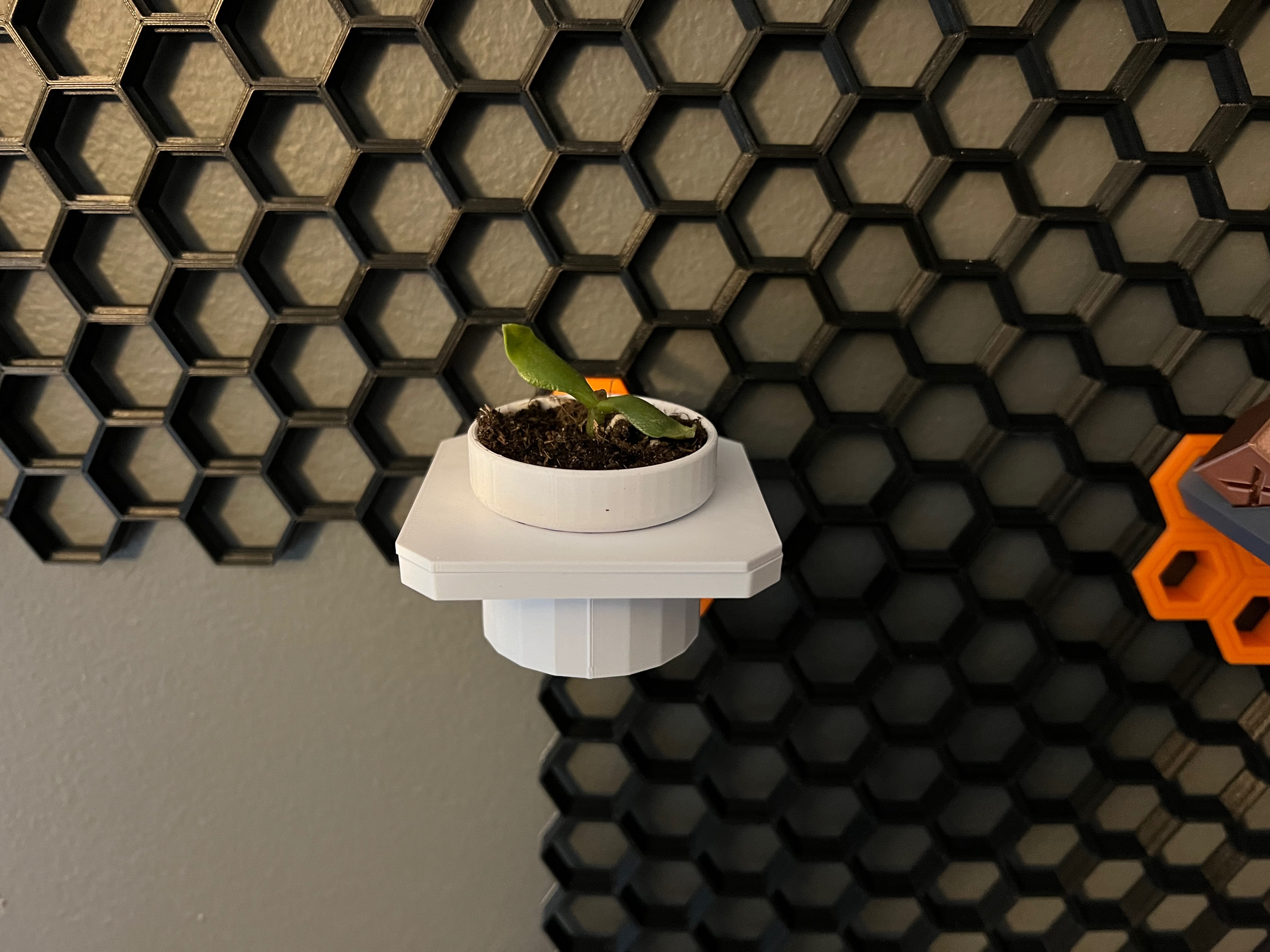 Monte Cup for Honeycomb Wall Planter Holder by sburggsx | Download free ...
