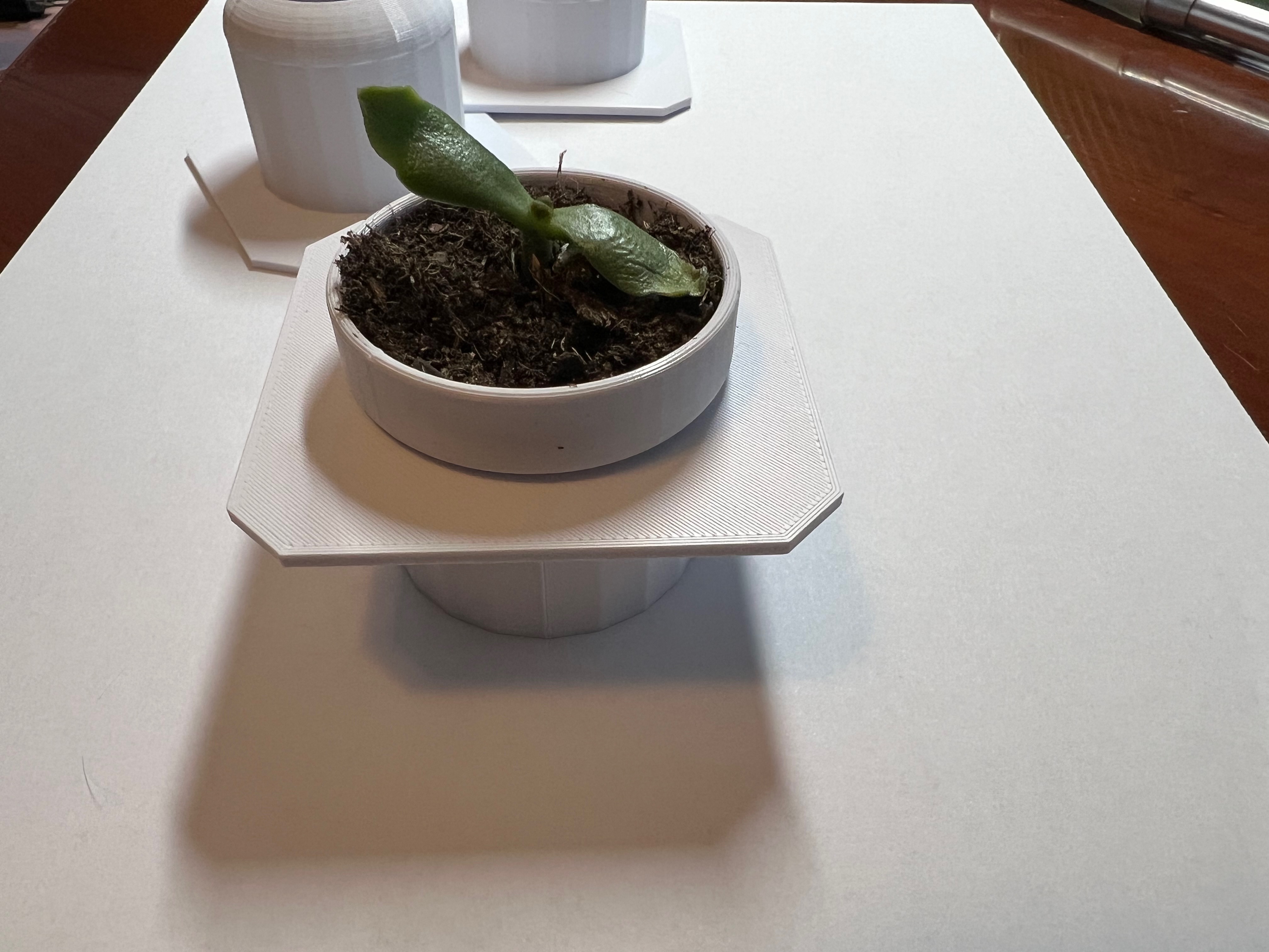 Monte Cup for Honeycomb Wall Planter Holder by sburggsx | Download free ...