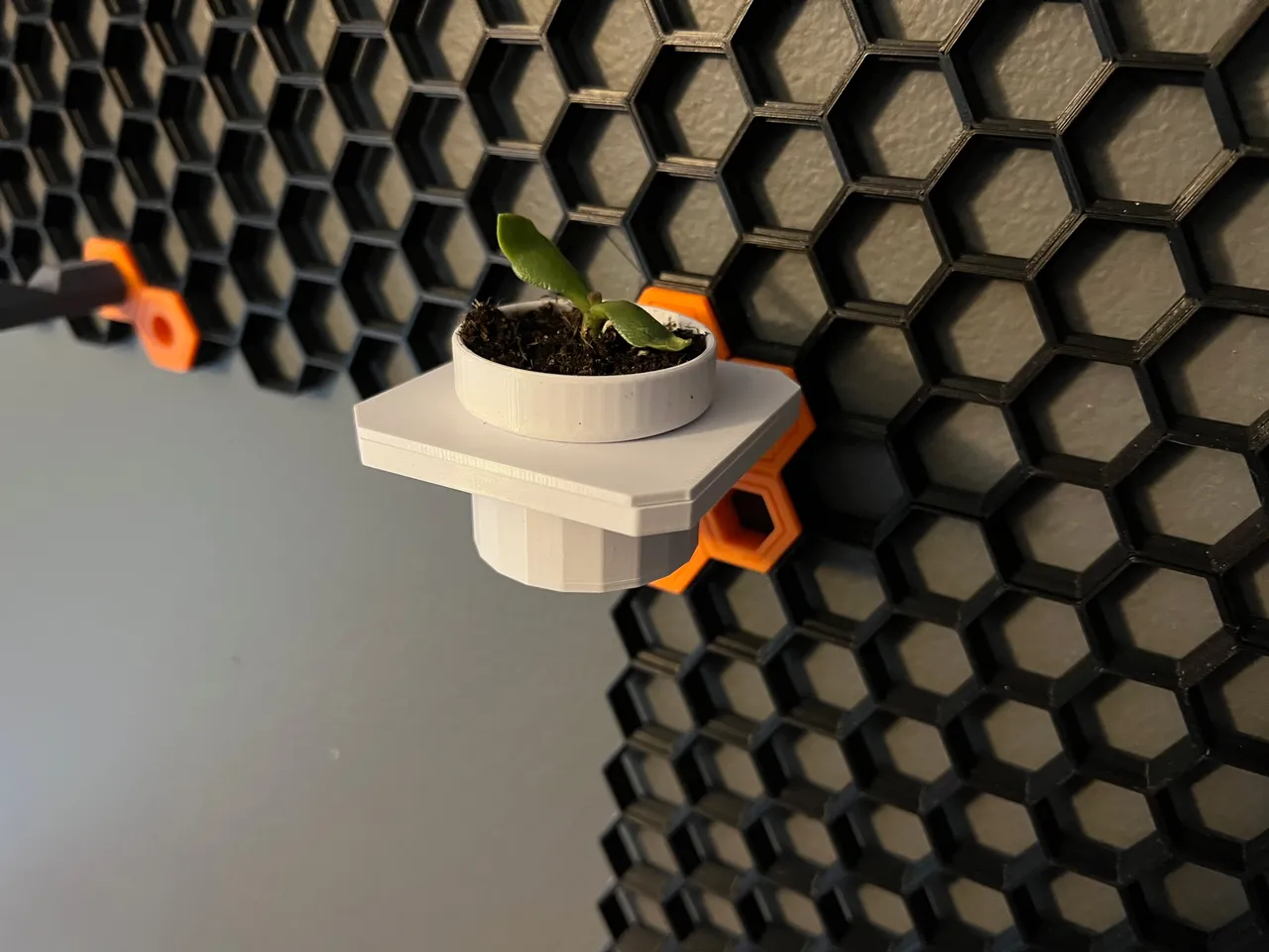 Monte Cup for Honeycomb Wall Planter Holder by sburggsx | Download free ...